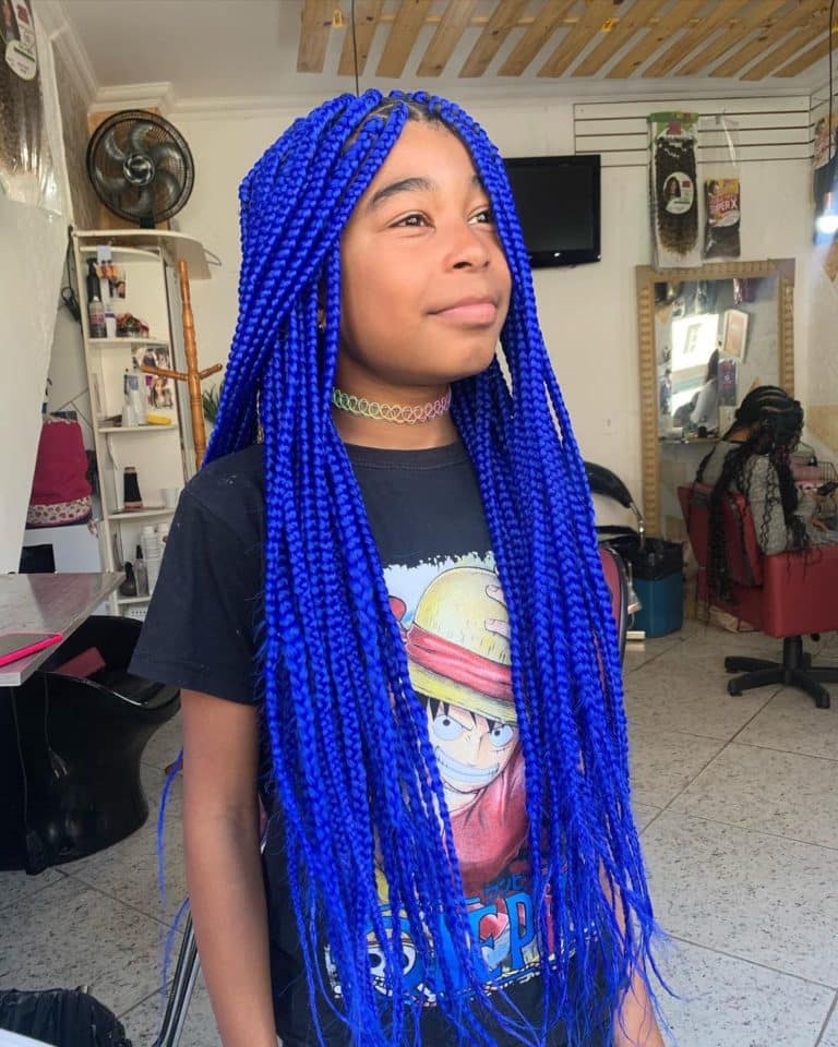 19 BLUE BRAIDS HAIRSTYLES - Braid Hairstyles