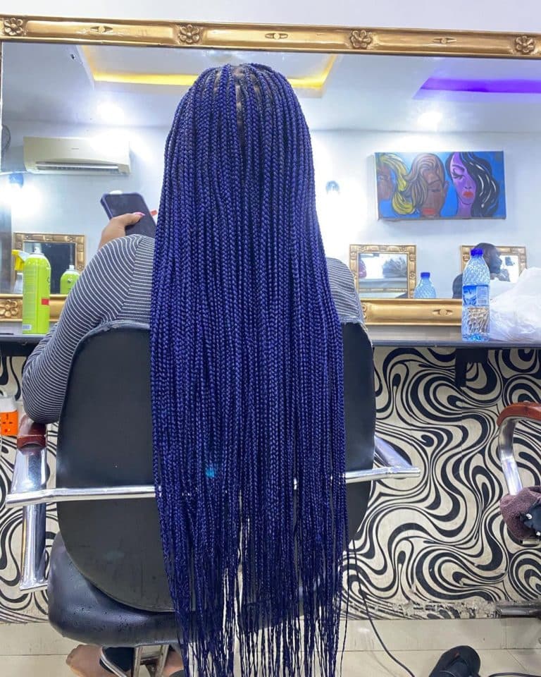 19 BLUE BRAIDS HAIRSTYLES - Braid Hairstyles