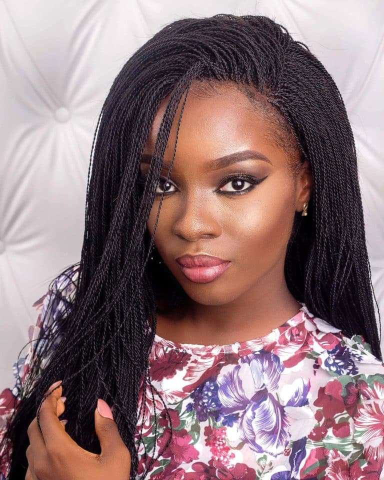 25 Types of Twist Braids Hairstyles to Try Now: Pictures & Styling Tips ...