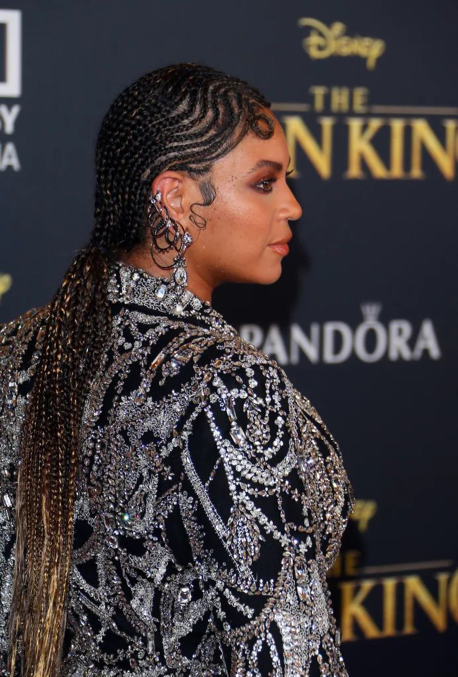 20 Beyoncé Braids Hairstyles - Braid Hairstyles