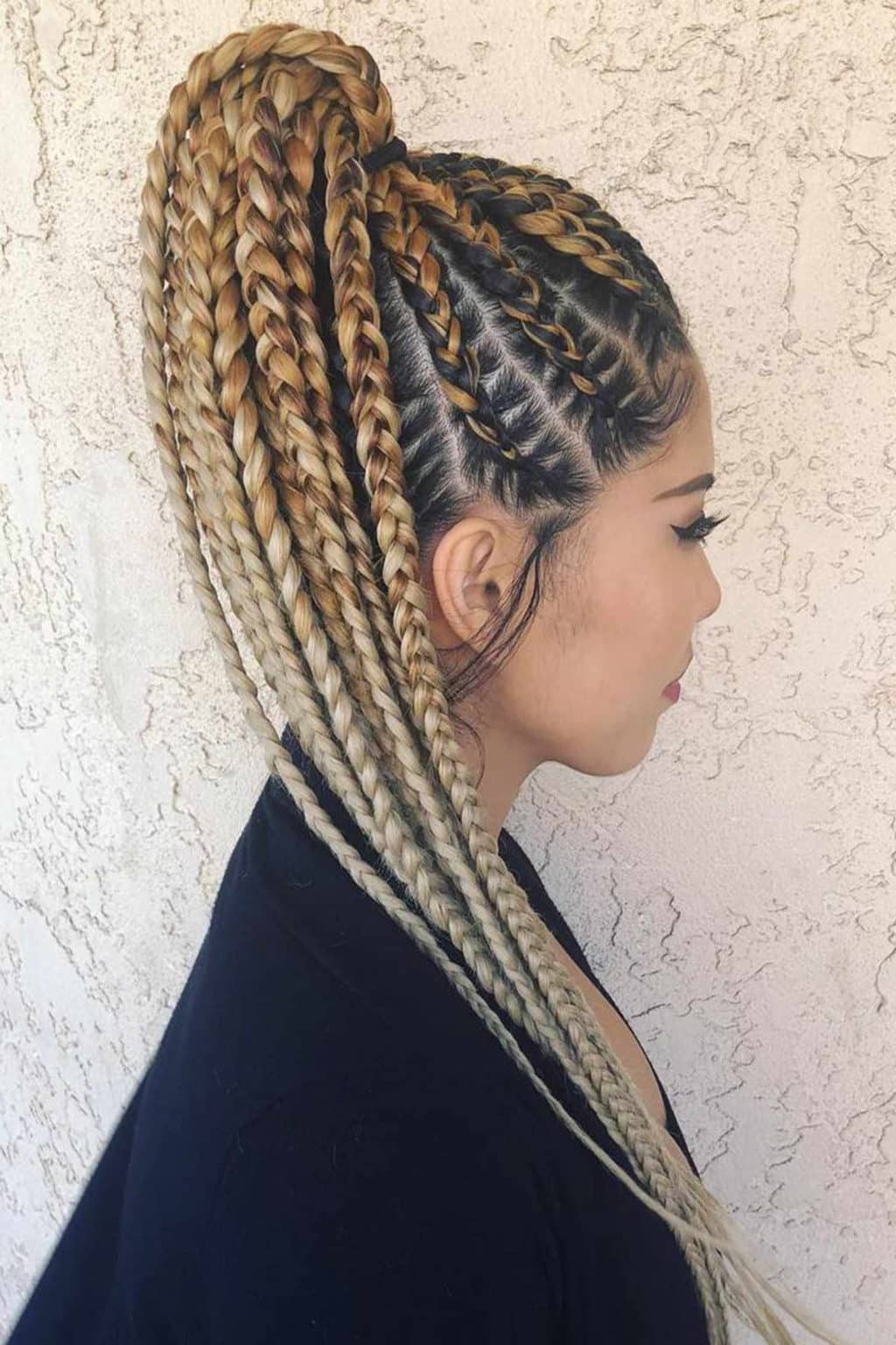 25 Ombré Braids Hairstyles - Braid Hairstyles