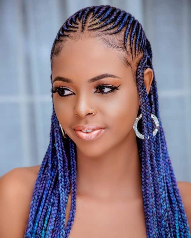25 Ombré Braids Hairstyles Braid Hairstyles
