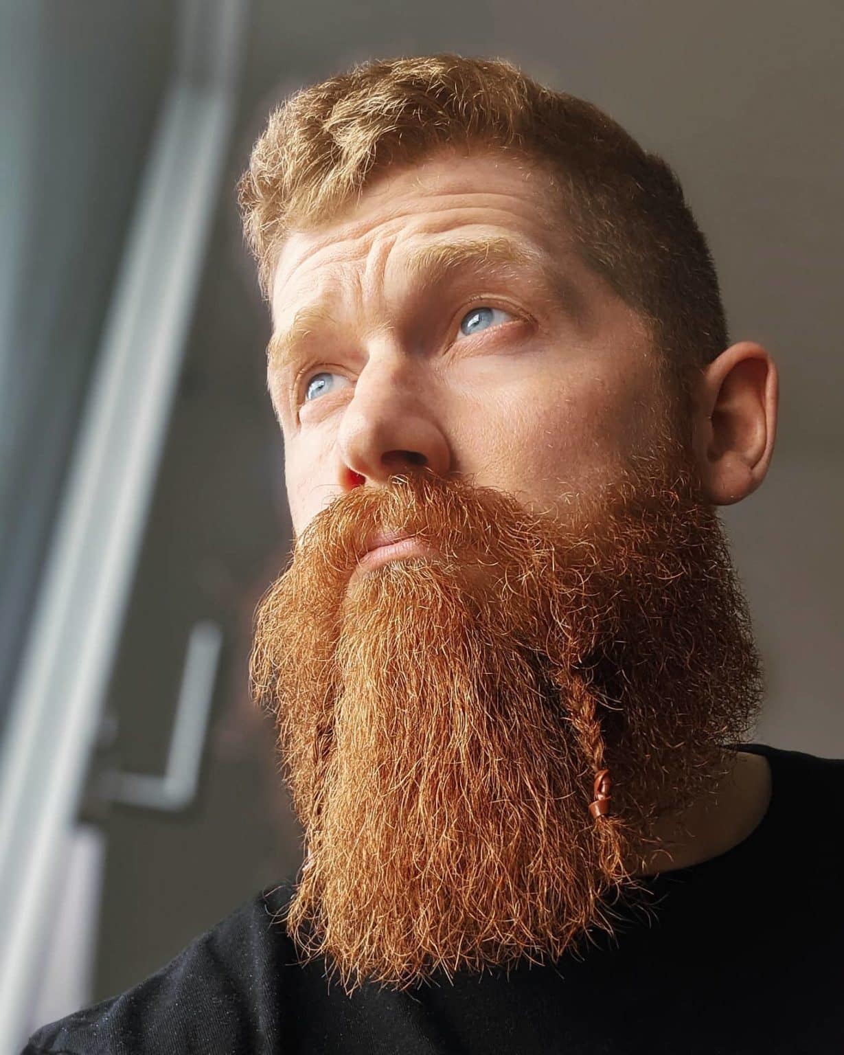 21 Beard Braid Styles - Braid Hairstyles