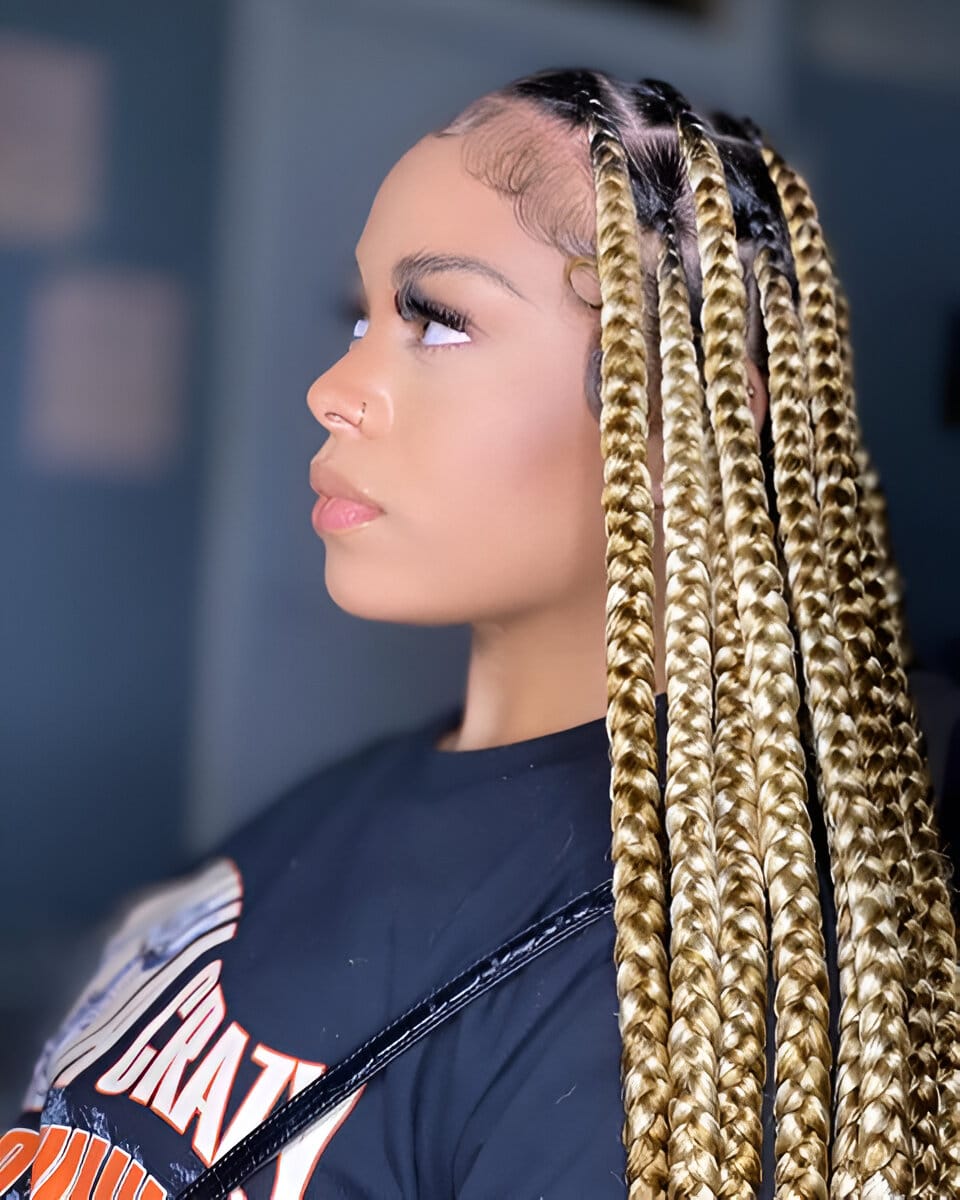 25 Blonde Braids Hairstyles - Braid Hairstyles