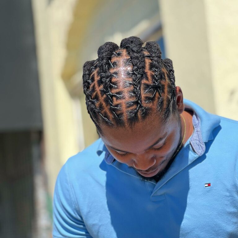 45 Dreadlock Hairstyles For Men - Braid Hairstyles