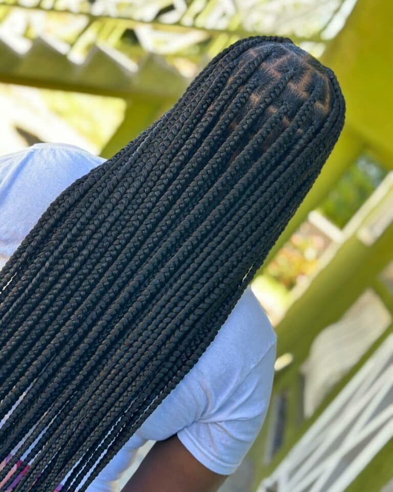 50 Box Braids Hairstyles - Braid Hairstyles