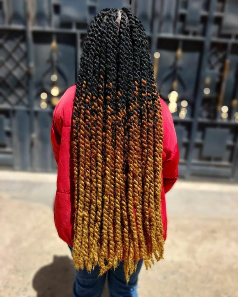 21 Havana Twist Hairstyles - Braid Hairstyles