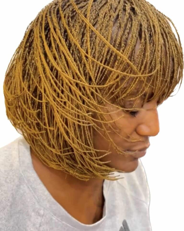 26 Pixie Braids Hairstyles - Braid Hairstyles