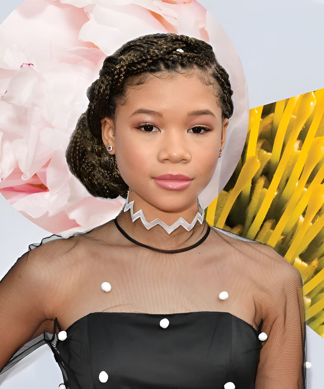 25 Side Bun With Braids Hairstyles - Braid Hairstyles