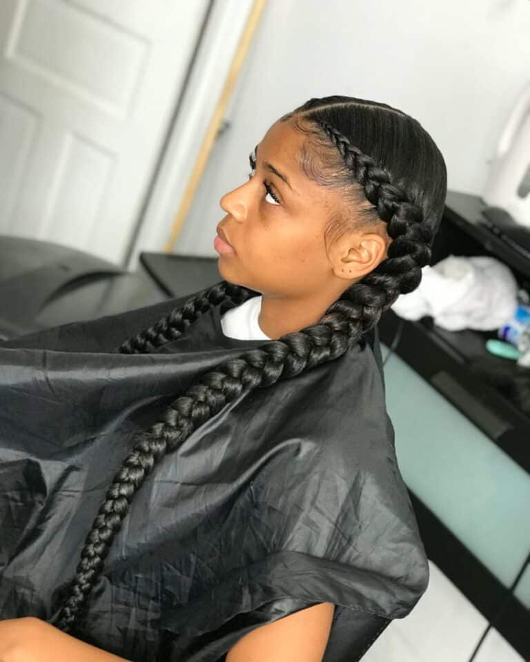 28 Two Braids Hairstyles Braid Hairstyles